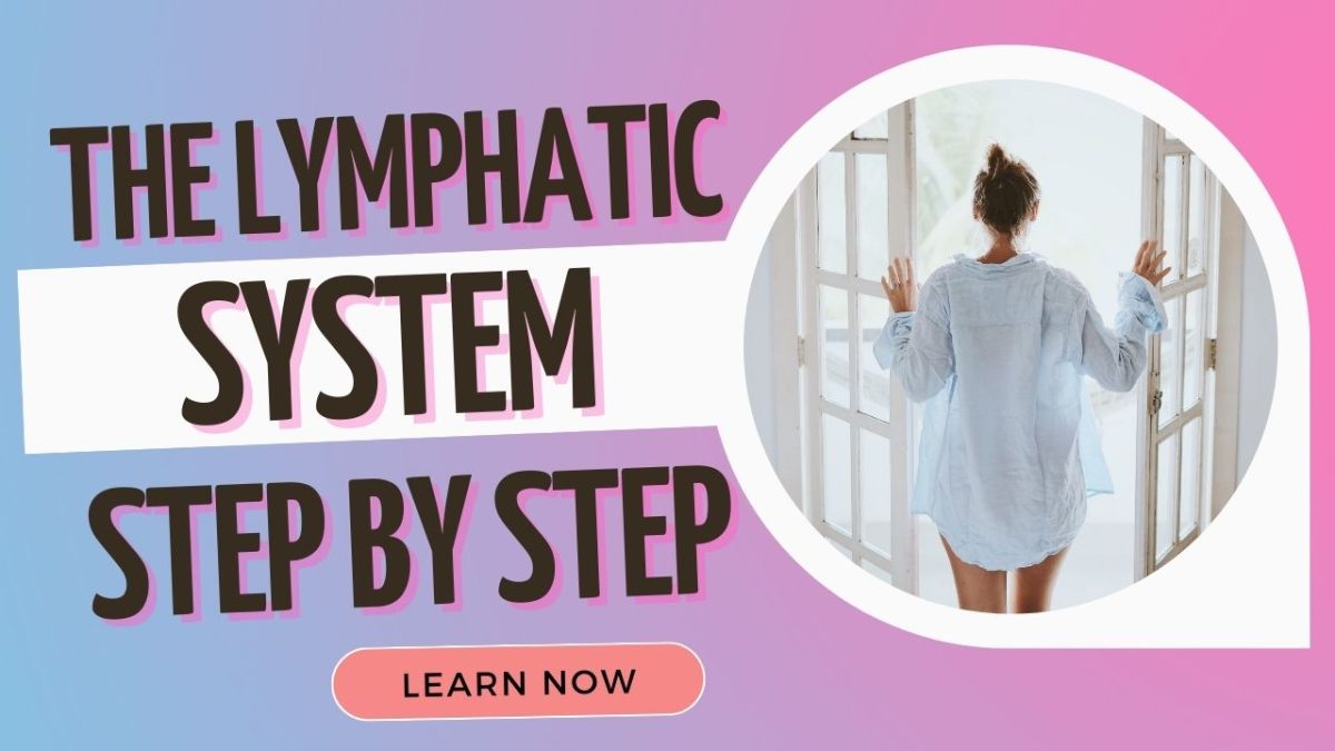 The Lymphatic System - JH Aesthetics & Training Academy